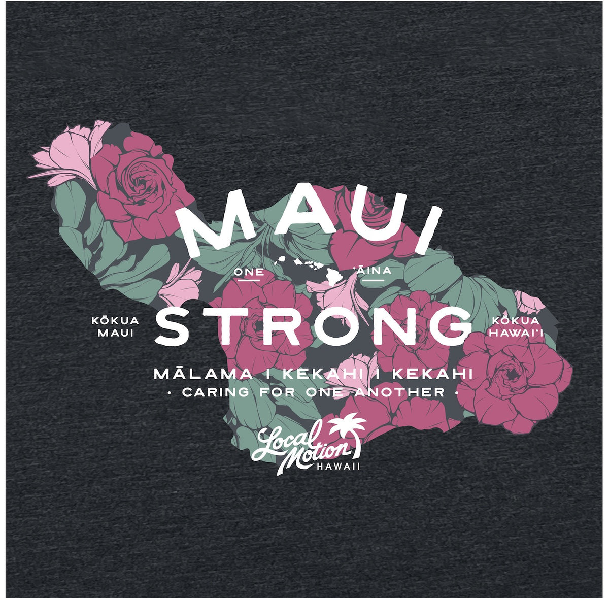 MAUI FUNDRAISER – Local Motion Hawaii
