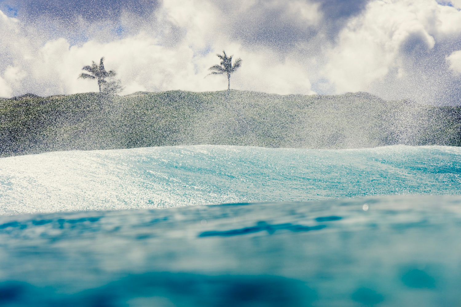 Local Motion Hawaii | Premium Surf Wear Since 1977